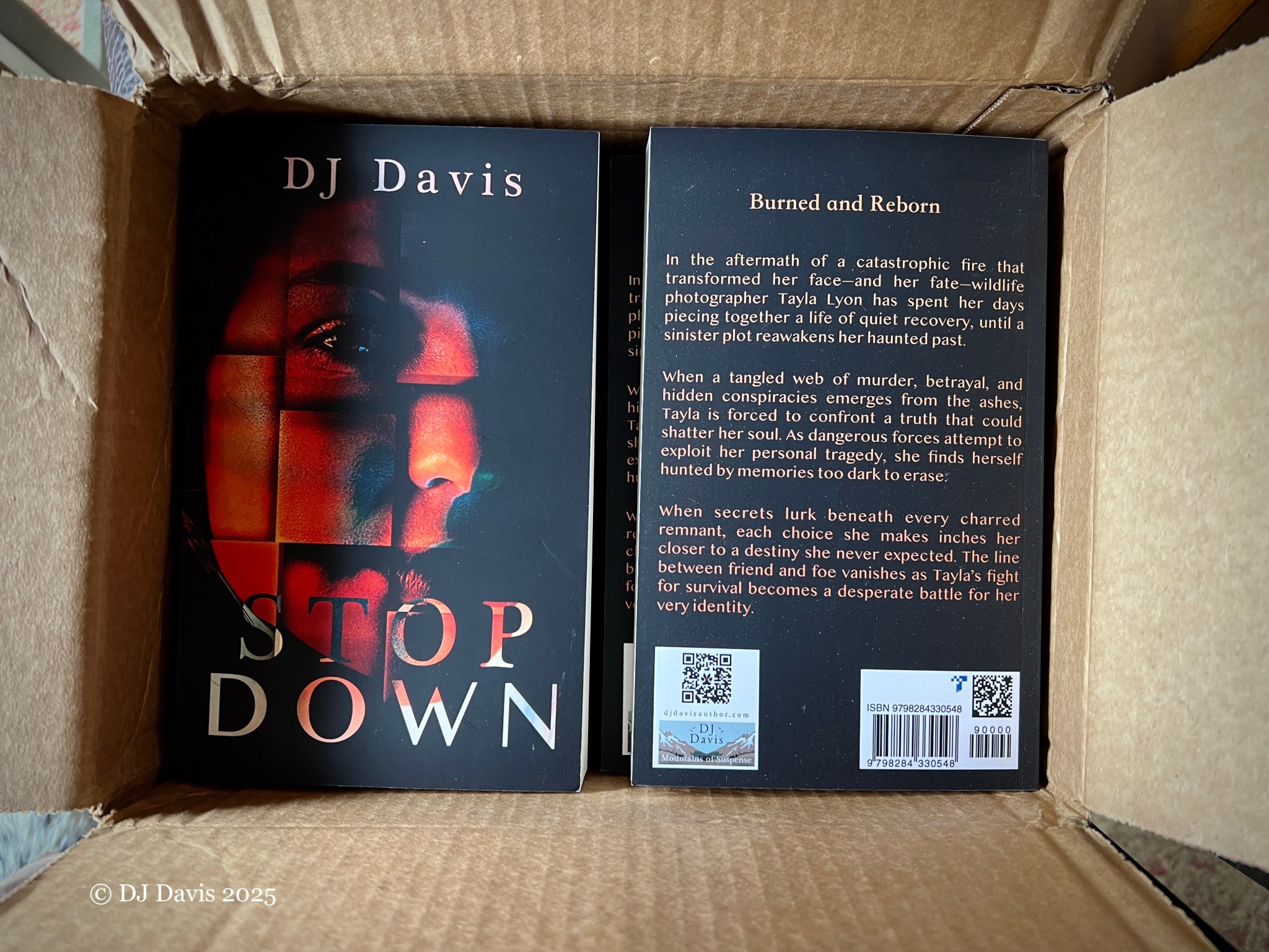 DJ Davis – Author